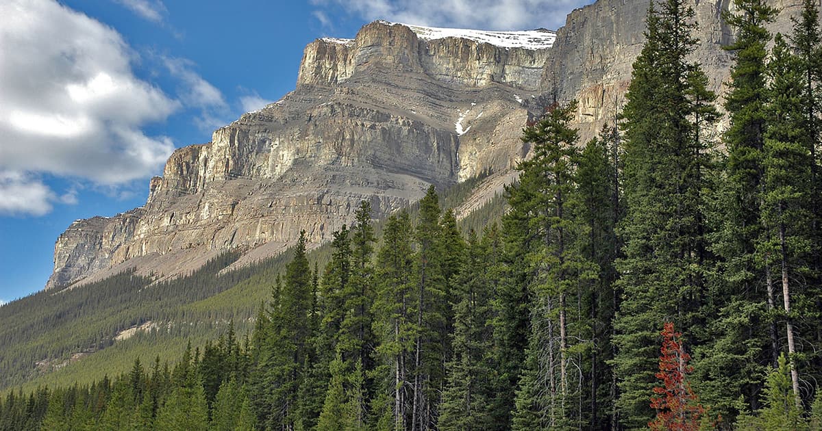 Roadtrip Canada – Alaska: Van het Icefield Center naar Dease River ...