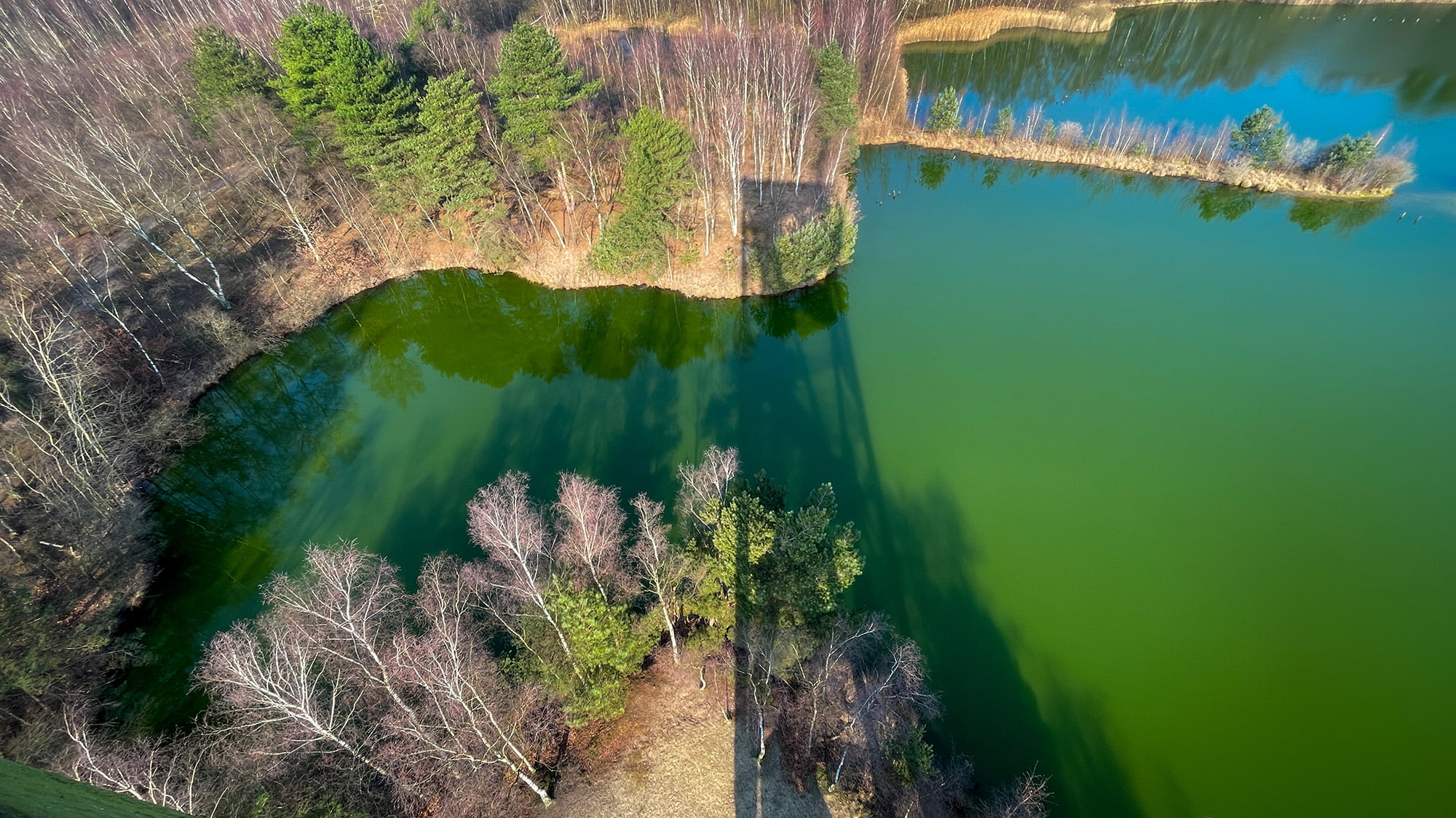 Rond de Sahara in Lommel – efkesweg.be
