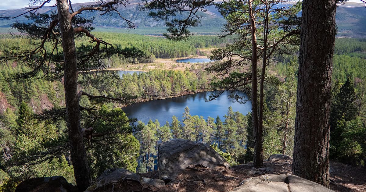 Roadtrip Schotland: Uath Lochans (Cairngorms National Park) – efkesweg.be